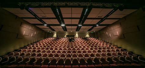 ვ სალარიძის საკონცერტო დარბაზი პროექტები Id 164