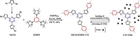 Synthetic Route Of Tbrthbtbpectf By Suzuki Cross Coupling Reaction Of