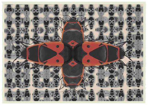 Firebugs 2 Finished Artworks Krita Artists