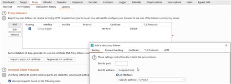mobile application penetration testing basics