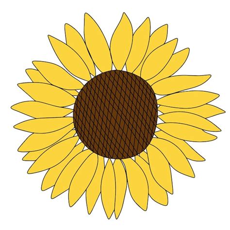 손으로 그리는 색 해바라기 흰색 배경에 고립입니다 벡터 일러스트 레이 션 프리미엄 벡터