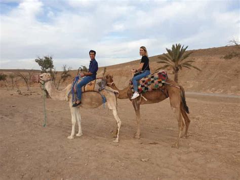 Depuis Marrakech balade en chameau dans le désert d Agafay GetYourGuide