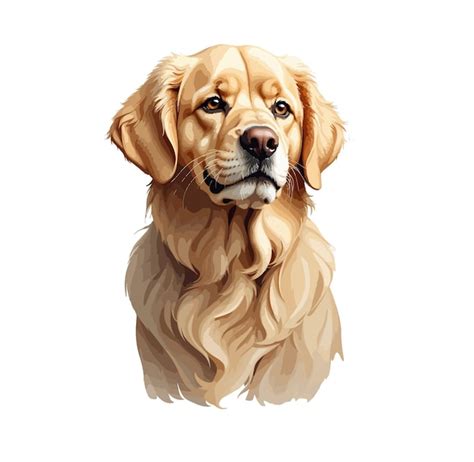 Dibujo Sencillo De Un Perro Golden Retriever Vector Premium