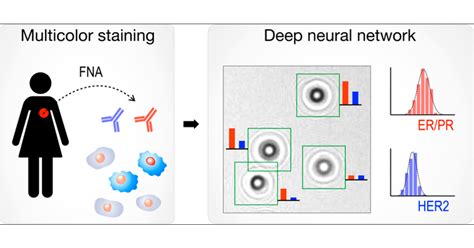 computational optics enables breast cancer profiling in point of care
