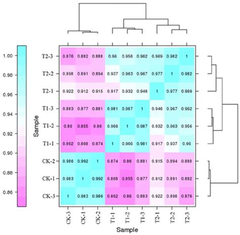 Physiological And Transcriptomic Analyses Reveal The Effects Of Elevated Root Zone Co2 On The
