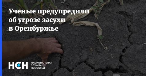 Ученые предупредили об угрозе засухи в Оренбуржье