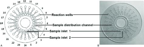 Schematic Of The Microfluidic Chip Consisting Of An Array Of 24