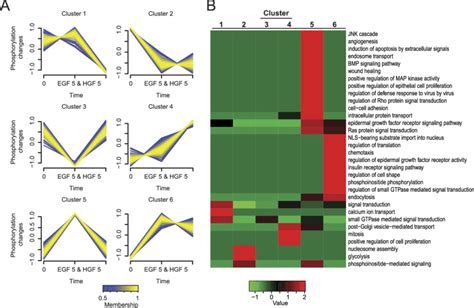 Clustering And Enrichment Analysis In Gprox A Unsupervised Clustering Download Scientific