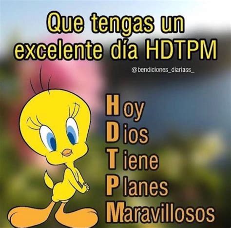 Buenos Días 🌞 Bendisiones Frases Piolín Frases Felices Positivas