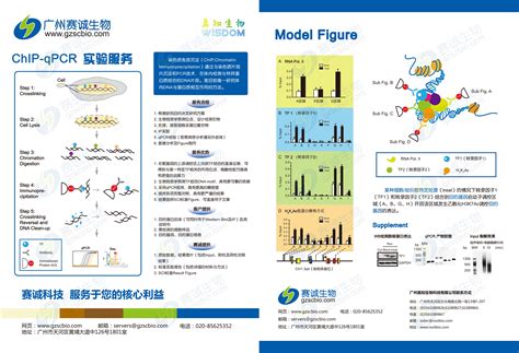 项目文件 资料下载停用 广州赛诚生物科技有限公司 服务于您的核心利益！