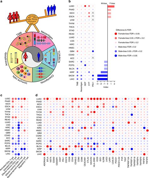Differences In Immune Features Between Male And Female Patients From Download Scientific