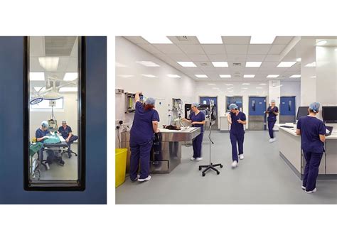 Trovex Is The Next Step Forward In Hygienic Wall Cladding Ribaj