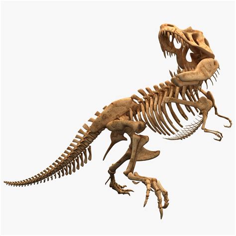 An Image Of A Dinosaur Skeleton That Is In The Air