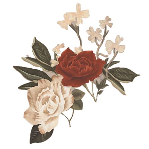 Flowers Png Aesthetic