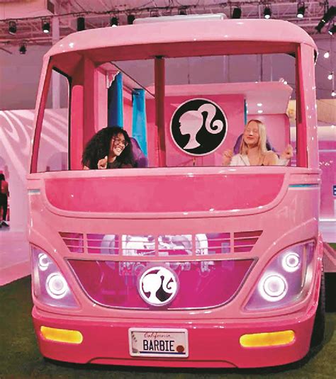 Tickled Pink In Barbies World The Standard
