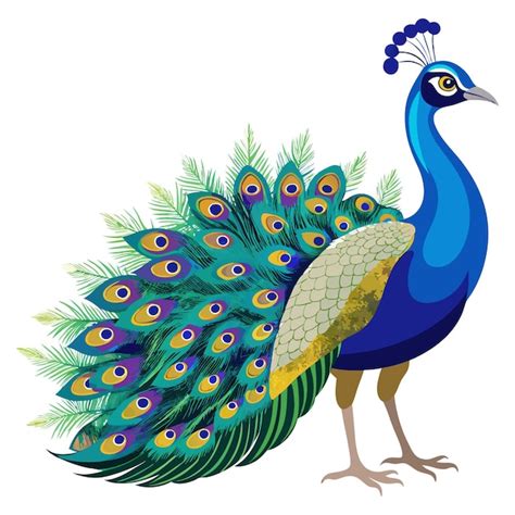 Peacock Clipart Vector Illustration Premium Ai Generated Vector