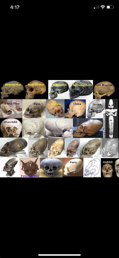 The Ancients Who Built Megalithic Structures Looked Like This R