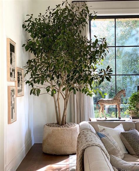 Pin By Chea Davis On Living Rooms Home Decor Home Interior Design