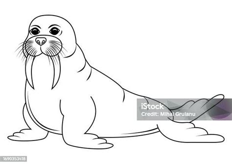 흑백 바다코끼리 만화 캐릭터 벡터 만화 해마의 색칠 공부 페이지 겨울에 대한 스톡 벡터 아트 및 기타 이미지 겨울 교육 귀여운 Istock