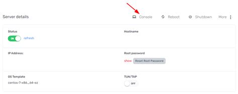How To Find The IPv6 Of My Server NatVPS Net