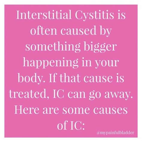 Should I Be Taking Supplements For Interstitial Cystitis Artofit