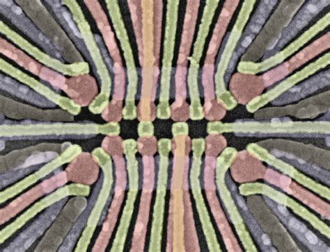 Researchers Demonstrate Universal Control Of A Quantum Dot Based System