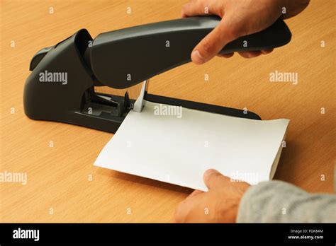 Binding Papers With Stapler By Both Hands Stock Photo Alamy