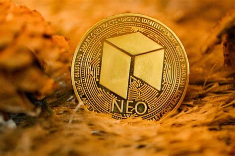 An Examination Of Neos Zero Knowledge Proof Protocol For Privacy Bit