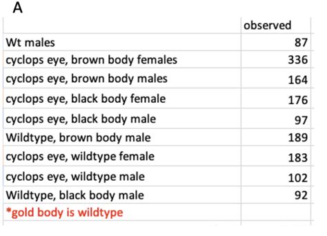 F Indicate The Expected Predicted Phenotypic Chegg
