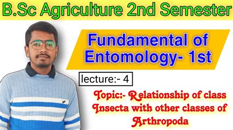 Relationship Of Class Insecta With Other Classes Of Arthropoda Fundamental Of Entomology Bsc