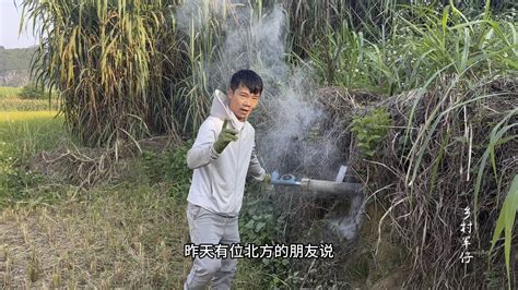 小伙拿“龟头烟花”转进鼠洞，下一秒老鼠匆忙跑出，威力太猛了 乡村军仔 乡村军仔 哔哩哔哩视频