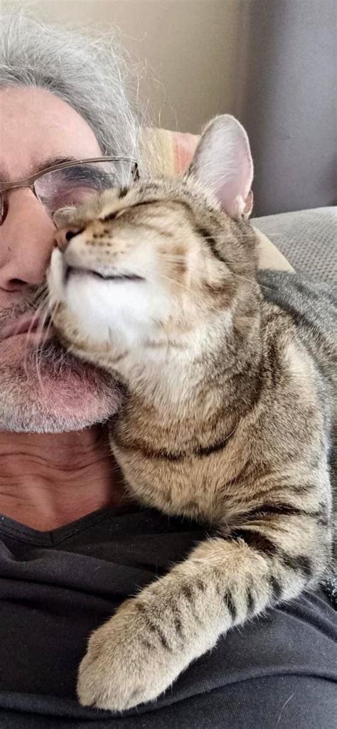 Luna Bella Love His Owner Scrolller