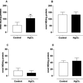 Effect Of Treatment For Days At Low Concentrations Of HgCl On Download Scientific Diagram