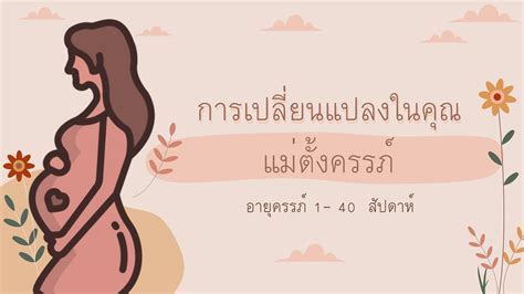 สื่อการสอนเรื่อง พัฒนาการตั้งครรภ์ กิตติรัตน์ หน่อขัด นิสิตหลักสูตรสาธารณสุขศาสตรมหาบัณฑิต