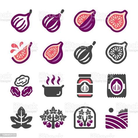 圖圖示集向量圖形及更多一片圖片 一片 健康飲食 商品 Istock