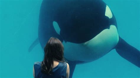 Rust And Bone Alchetron The Free Social Encyclopedia