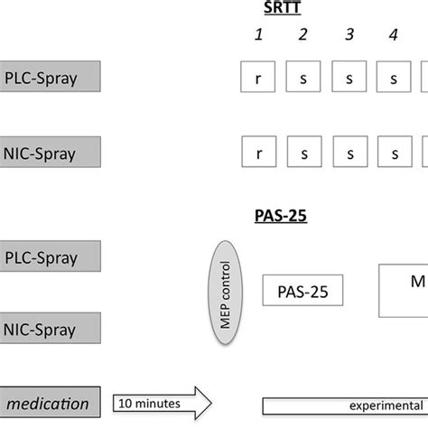 Shows The Experimental Setup Of The Serial Reaction Time Task Srtt Download Scientific