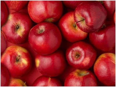 Best 5 Healthy Fruits To Eat In Monsoon मानसून में इन 5 फलों को खाना