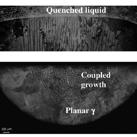 Microstructure Selection Map For Steady State Directionally Solidified