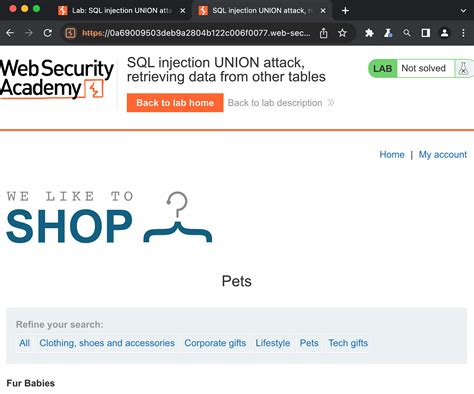 Information Disclosure In Debugging Data Port Swigger Academy By