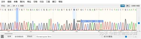 利用snapgene详细分析sanger测序结果 知乎