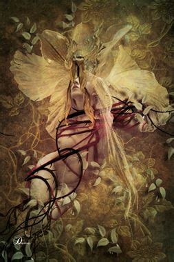 Model Society Galleries