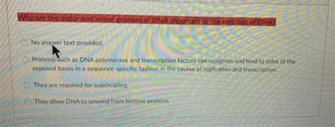 Solved Why Are The Major And Minor Grooves Of Dna Important