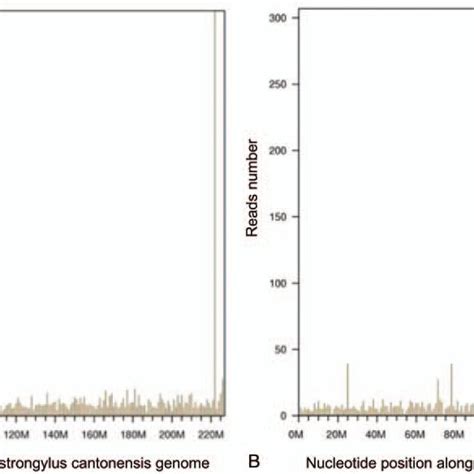 Next Generation Sequencing On Patients Cerebrospinal Fluid A
