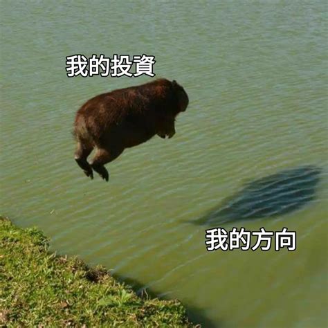 吃土日記 204 錢錢丟水裡