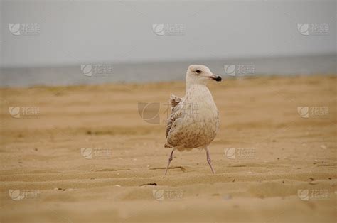 嘿，这是怎么回事