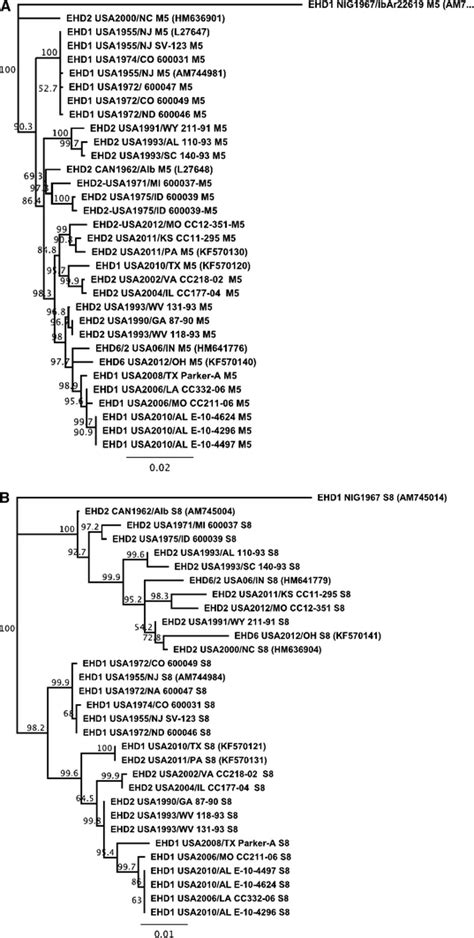 Neighbor Joining Consensus Phylogenetic Trees Using JukesCantor