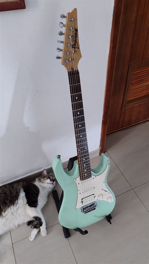 Help Me Identify My Guitar Ribanez