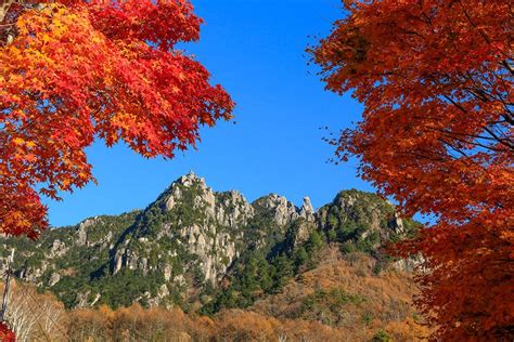2ページ目【山梨県 2023年版】 秋の絶景・風物詩10選 逆さ富士と紅葉の神秘的な光景 今こそ行きたい！ 「日本にしかない風景」再発見