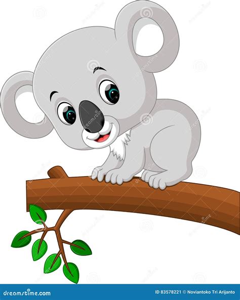 Fumetto Sveglio Della Koala Illustrazione Vettoriale Illustrazione Di